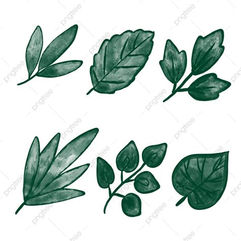 짙 은 녹색 야자수 잎 수채화 삽화 나무 일러스트 물감 잎 4 개 세트 페인트 등 Png 일러스트 및 Psd 이미지 무료 다운로드 Pngtree