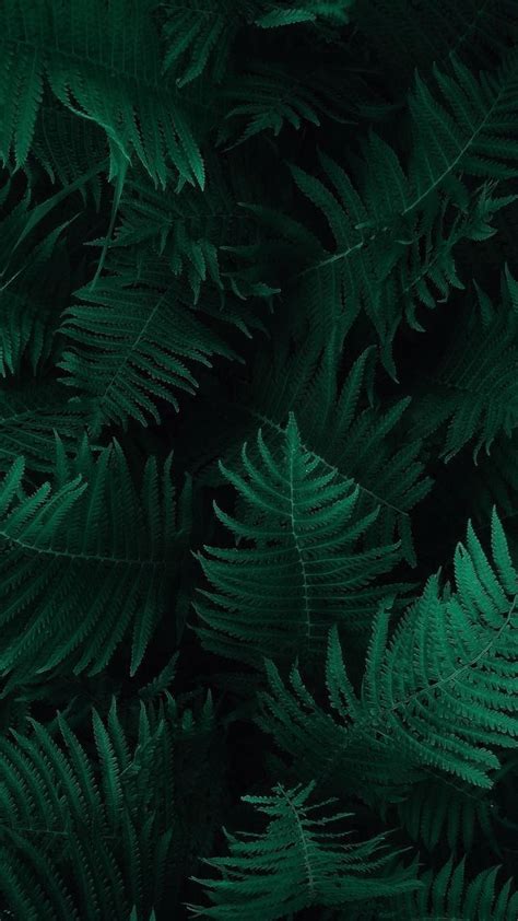 Pinterest в 2024 г Фиолетовая живопись Зеленые фоны Зеленая природа