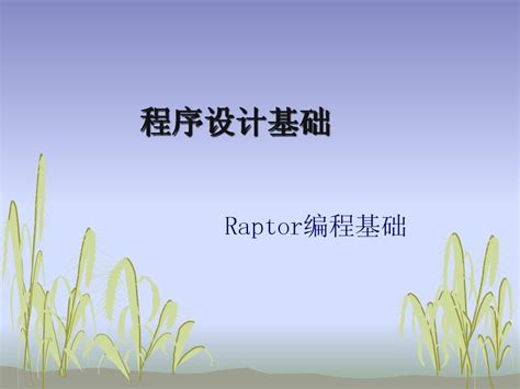 程序设计基础 Word文档在线阅读与下载 无忧文档