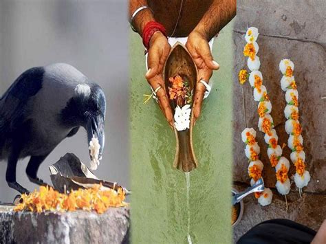Pitru Paksha 2023 दुपारच्या वेळेत का करतात श्राद्ध तर्पण विधी योग्य