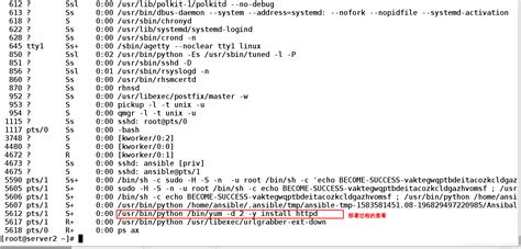 ansible（2）—— ansible doc的用法以及一些常用模块的使用 csdn博客