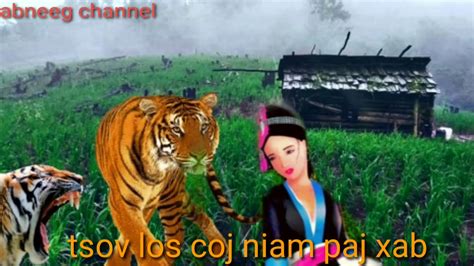 Tsov Los Coj Niam Paj Xab Mus Ua Poj Niam YouTube