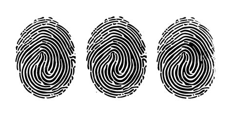 Fingerprint Set Fingerprint Identification Biometric Human Fingerprints