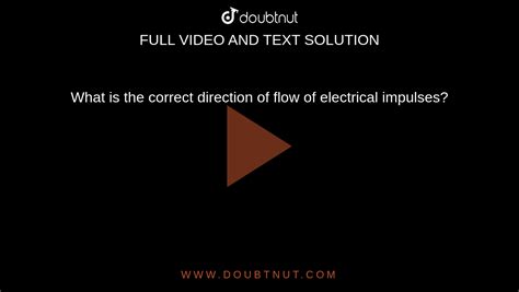 What Is The Correct Direction Of Flow Of Electrical Impulses