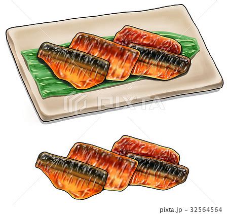 さんまの蒲焼きのイラスト素材 32564564 PIXTA