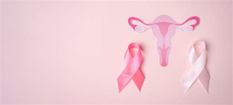 검진 자궁 여성 생식 기관 여성 건강 Pcos 난소 부인과 및 자궁 경부암 건강한 여성 개념 자궁경부암에 대한 스톡 사진 및