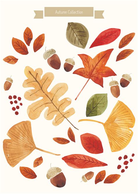 일러스트레이션 가을수채화 단풍 유토이미지 상세페이지 베이직샵 일러스트 20083013