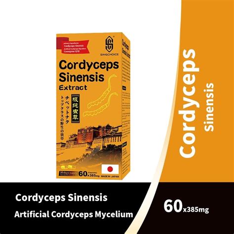 Singchoice Cordyceps Sinensis Extract Enhances Immune Function Slows