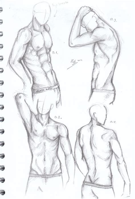 Male Torso Sketch