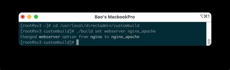 Hướng dẫn reverse proxy NGINX Apache Directadmin với 5 lệnh