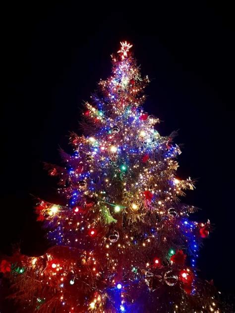 Запалиха светлините на елхата в Пазарджик Pa1 Media Bg