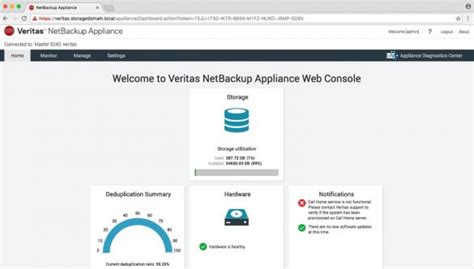 Veritas Netbackup 5240 备份设备评测