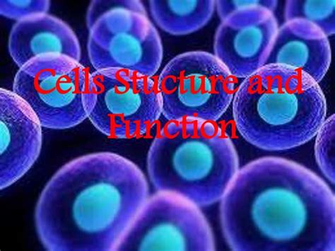 The Cell Ppt