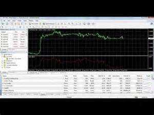 Forex Signals Mql5 YouTube