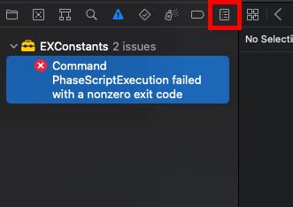 Expo SDK EXConstants Command PhaseScriptExecution Failed With A Nonzero Exit Code Issue