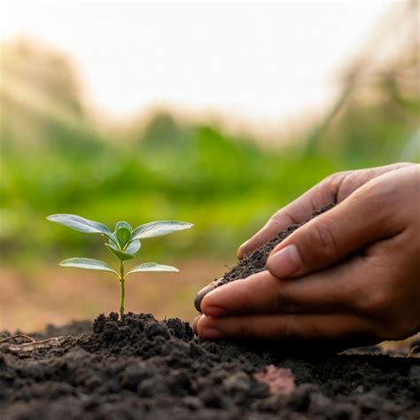 Realising The Potential Of Renewable Ethanol Biorefineries For A More