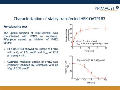 Transporter Activity Assays Fluorescent Compounds As Replacement For