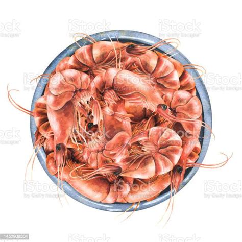 세라믹 그릇에 삶은 새우 수채화 그림입니다 Shrimp 컬렉션의 구성 메뉴 조리법 카페 레스토랑 상점 포장 로고 가격표의 디자인 및 디자인 가격표에 대한 스톡 벡터 아트 및