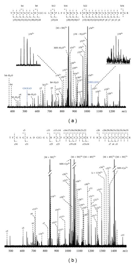 Esi Fticr Msms Spectra Of A Prothrombin Peptide Isolated From A Human