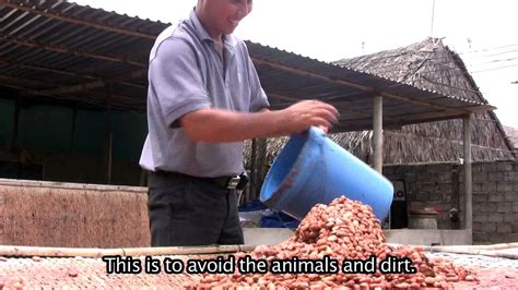 Fermentation Youtube