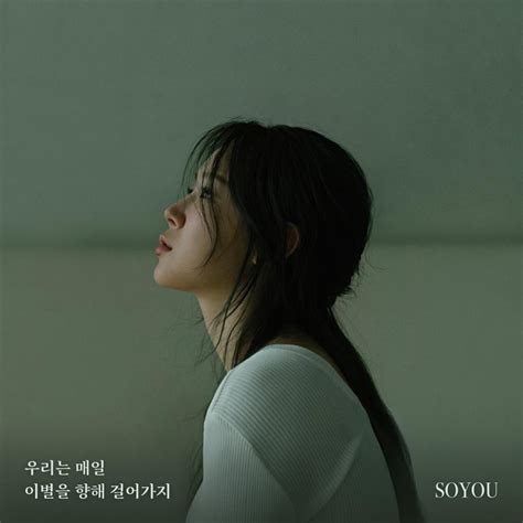 Soyou 소유 우리는 매일 이별을 향해 걸어가지 Farewell Everyday Lyrics Genius Lyrics
