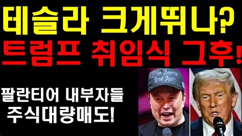 테슬라 얼마나 더 오를까 트럼프 취임식 그후 팔란티어 내부자 대량 주식매도 테슬라 장기투자를 어떻게 해야할까 틱톡 인수에