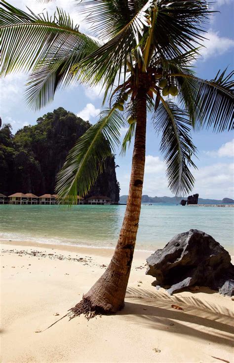 Tv4 Svar Om Sex I Robinson Detta Gäller