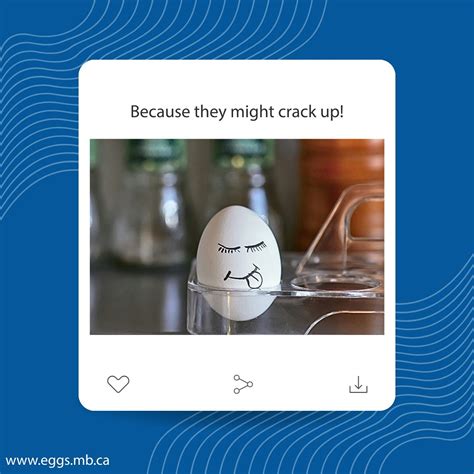 Manitoba Egg Farmers Winnipeg Mb