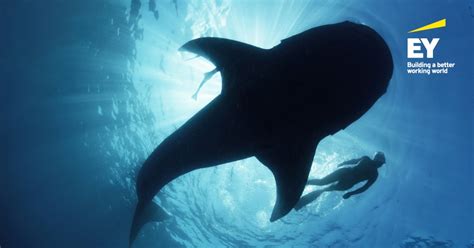 Mahesh Narayanan On Linkedin Innovation Is Disruptive Heres How To Make It Inclusive Too