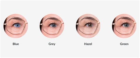 Hazel Eyes Smartbuyglasses Us