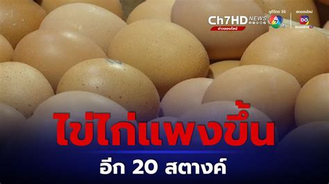 ข่าวเตรียมเลย พรุ่งนี้ ไข่ไก่แพงขึ้นอีก 20 สตางค์ ฟอง ตก 360 บาทฟอง