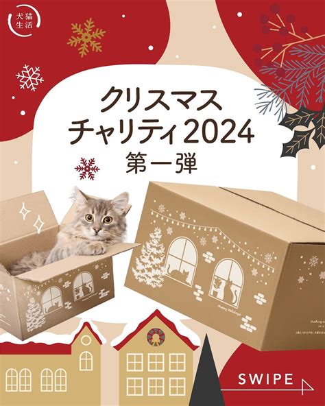 犬猫生活 For Cats 殺処分ゼロをめざす会社 Inunekocats • Instagram Photos And Videos