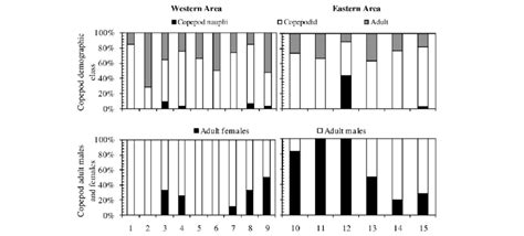 Spatial Variation Of Copepod Demographic Class Density Copepod