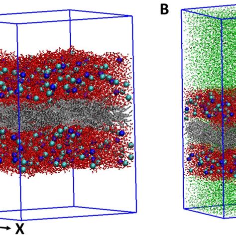 Simulation Snapshots Illustrating Iid Cucl2 A And Iid Cucl2 Co2 B Download Scientific