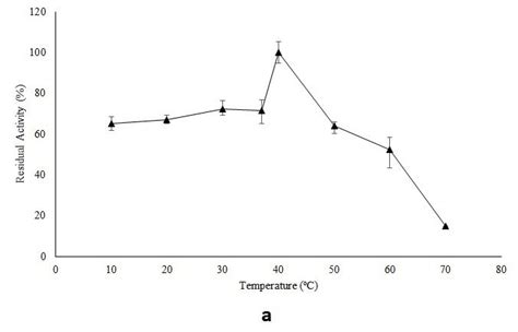 A Effect Of Temperature On Enzyme Activity B Stability Of Enzyme