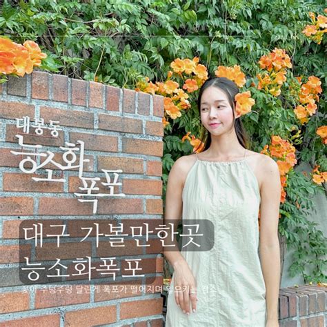 대구가볼만한곳 중구 관광명소 능소화폭포 위치 및 개화시기 네이버 블로그