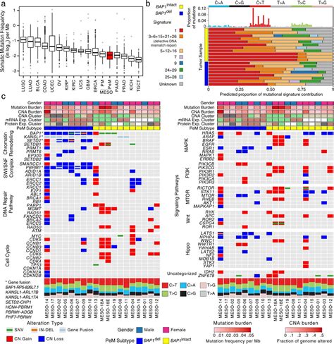 How Accurate Is The Cvs Covid Test