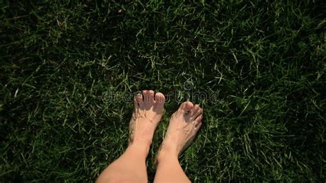 Barefoot On The Green Grass The Girl Walks On The Lawn Stock Video