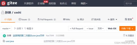 Git保姆级使用教程，超详细，带你了解常用git命令！ Csdn博客