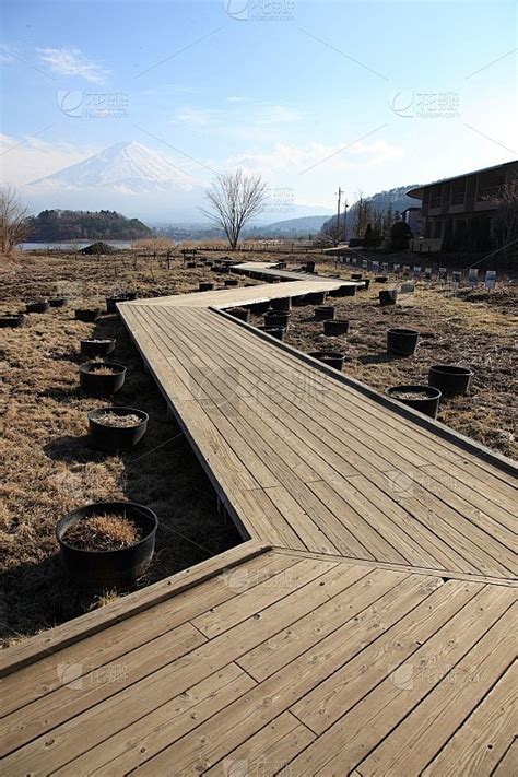 从川口湖看富士山