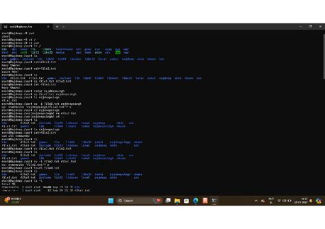 linux commands x o pwd cd cd usr ls bin dev home lib lib64 mnt proc