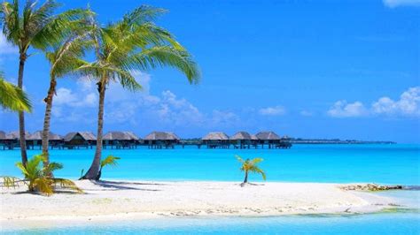 fiji windows themes