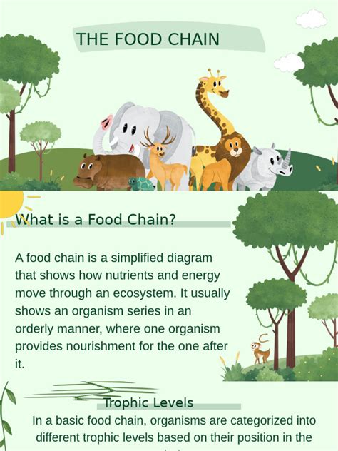 Food Chain Presentation In Light Green Red Illustrative Style Pdf