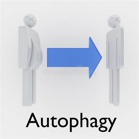 Autophagy Concept Stock Illustrations 22 Autophagy Concept Stock