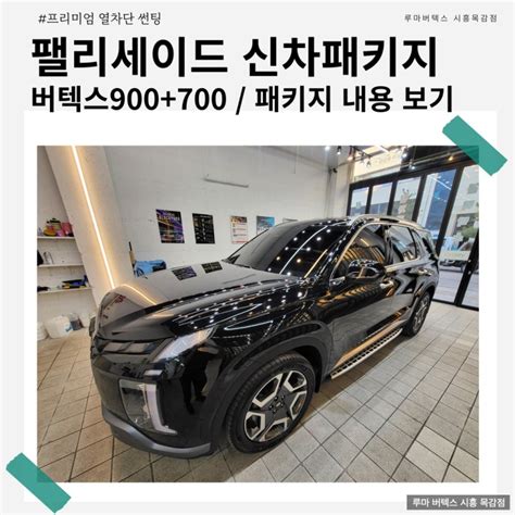 시흥 팰리세이드 신차패키지 버텍스900700 유리막 블랙박스 Ppf 정보 네이버 블로그