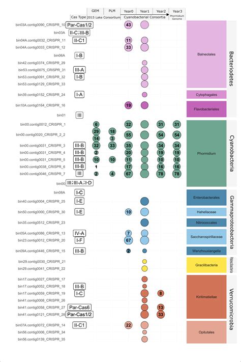 Viral Diversity And Dynamics And Crispr Cas Mediated Immunity In A