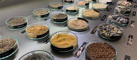 Freshwater Substrate Tank How To Select Substrate For Planted