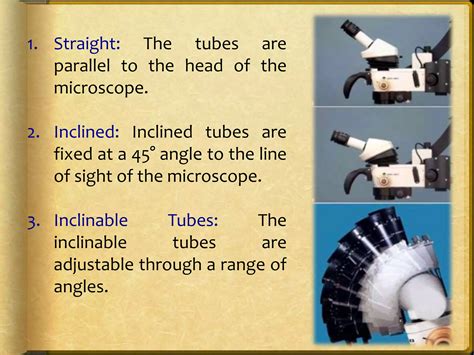 Operating Microscope In Endodontics Pptx