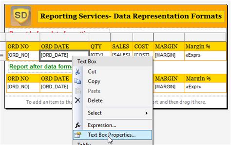Microsoft Business Intelligence Data Tools SSRS Format Function