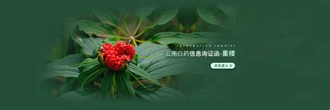 云南白药集团中药资源有限公司